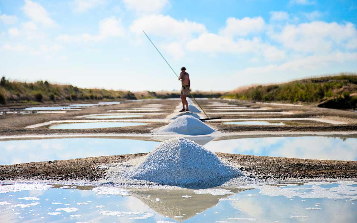 Presqu’île guérandaise : les pratiques et le savoir-faire paludiers ...